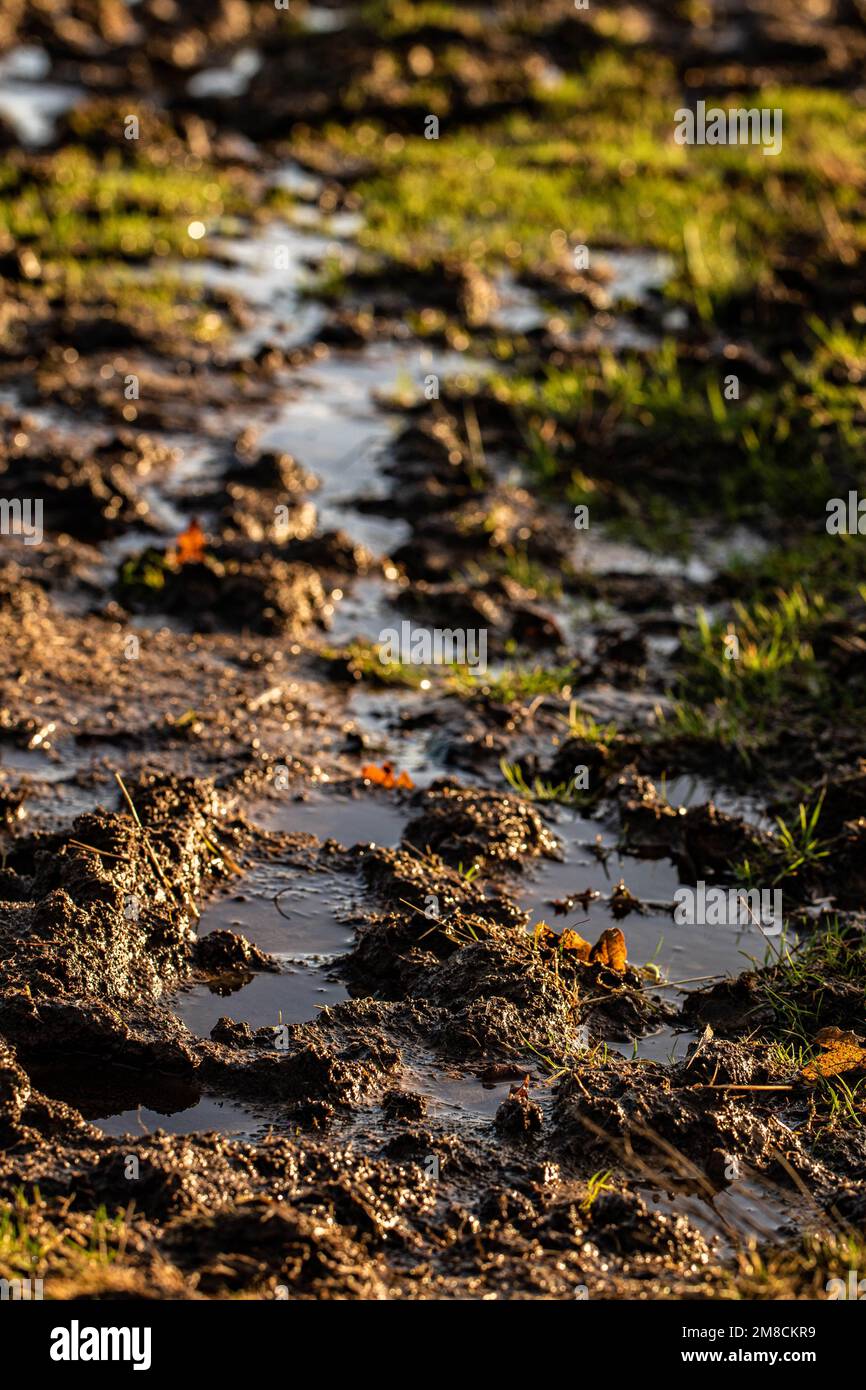Rural track backdrop hi-res stock photography and images - Alamy