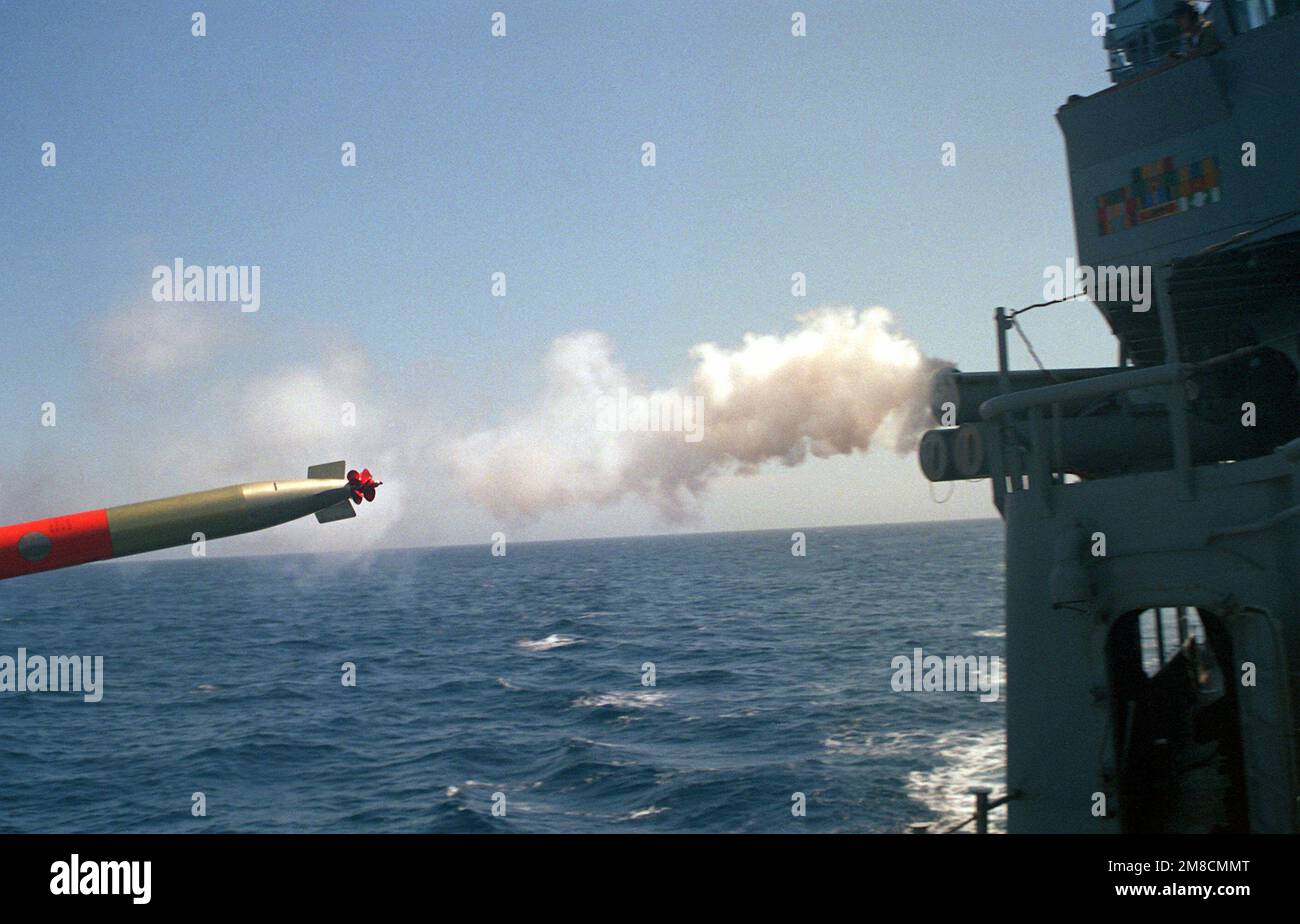 A Mark 46 torpedo is fired from a Mark 32 torpedo tube aboard the ...