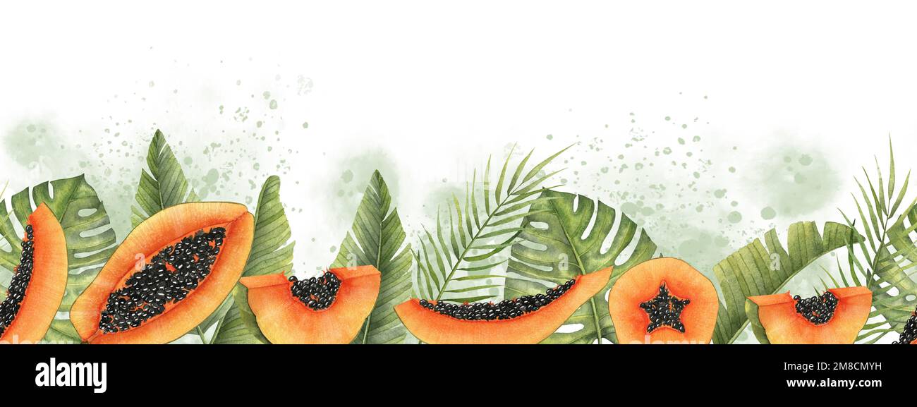 Watercolor Border with orange Papaya fruit and green Palm leaves. Hand ...