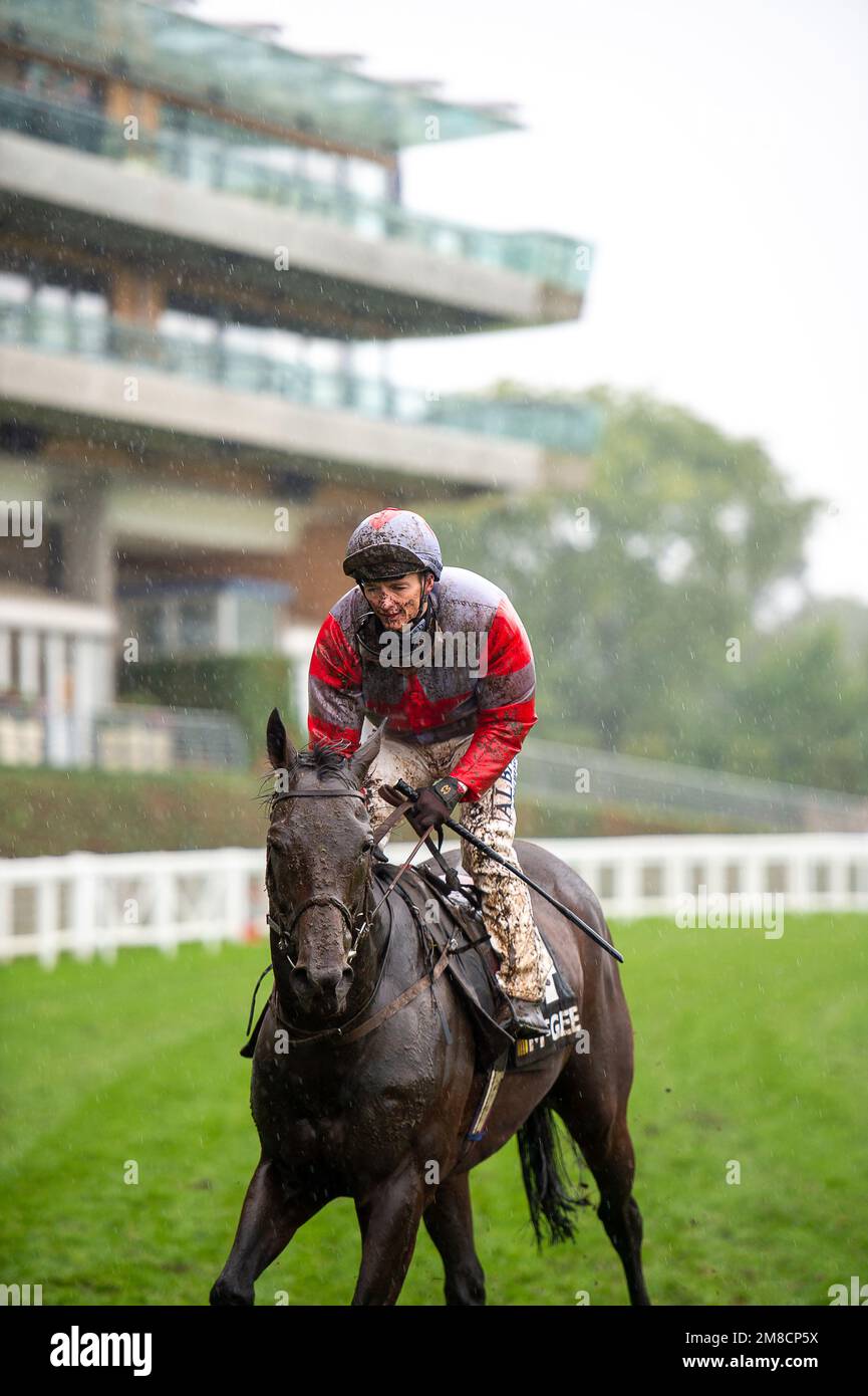 Maureen mcgee hi-res stock photography and images - Alamy