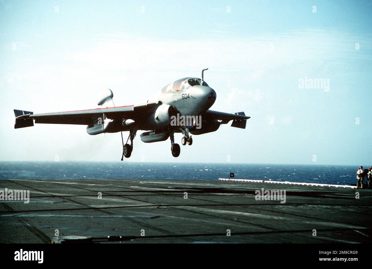 A Tactical Electronic Warfare Squadron 130 (VAQ-130) EA-6B Prowler ...