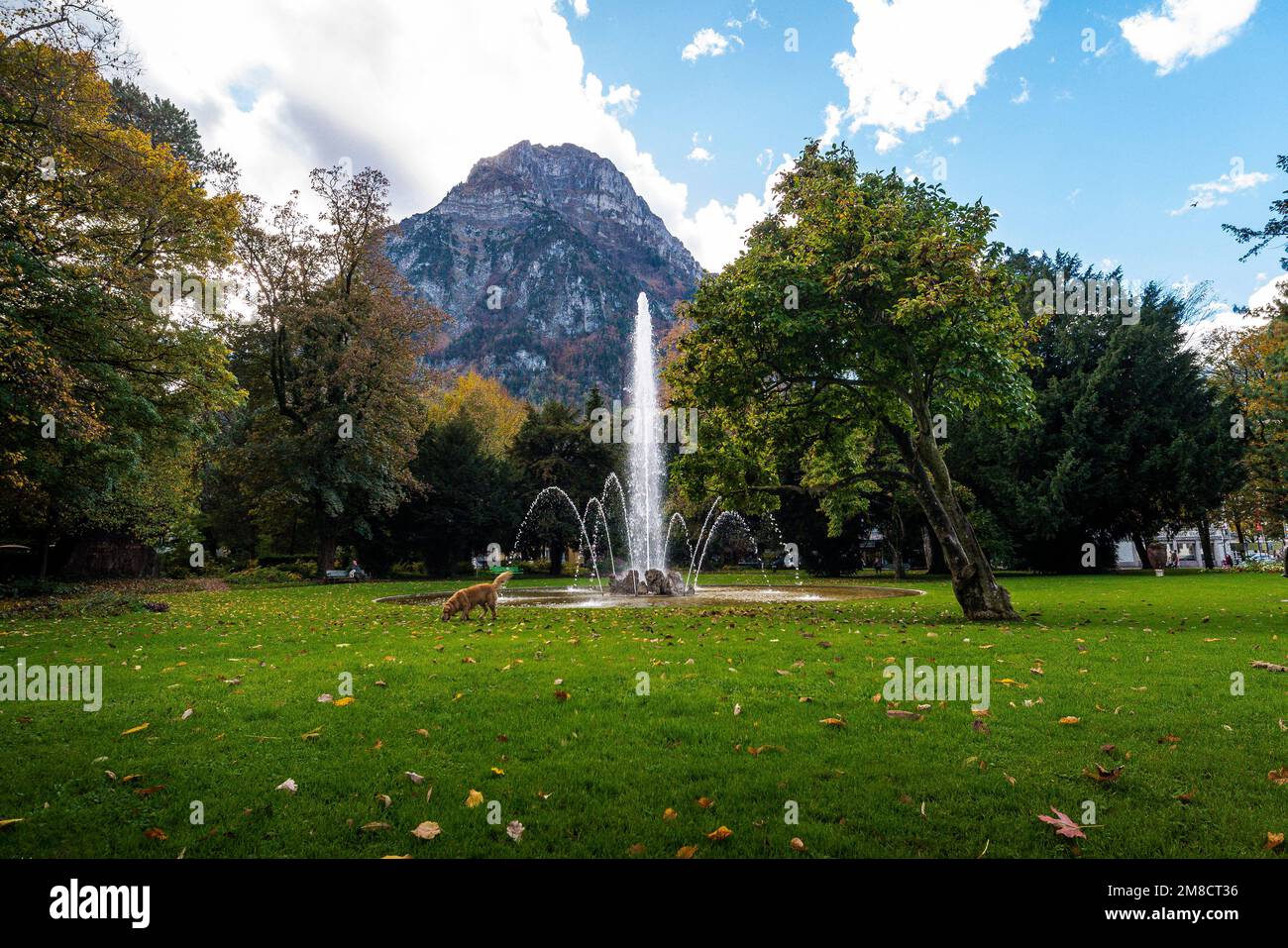 Peaceful park hi-res stock photography and images - Alamy
