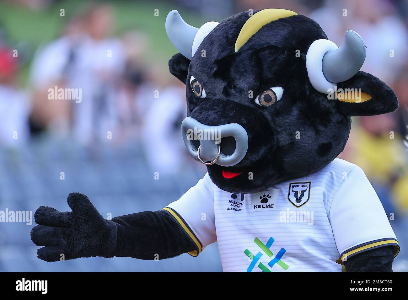 13th January 2023; Campbelltown Stadium, Sydney, NSW, Australia: A ...