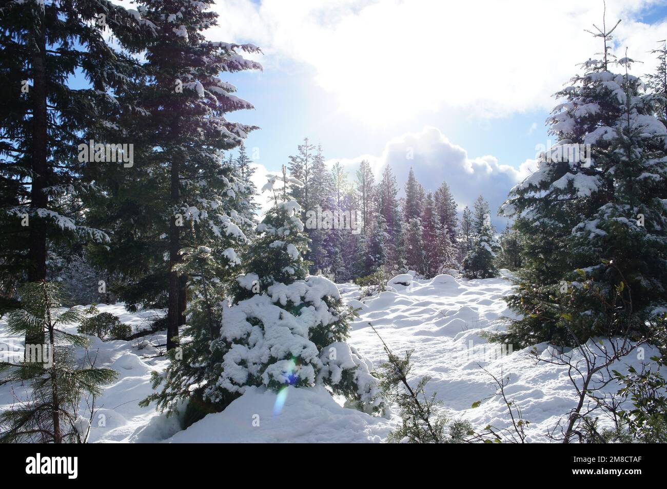 Shining Winter Along Highway 66 Stock Photo - Alamy