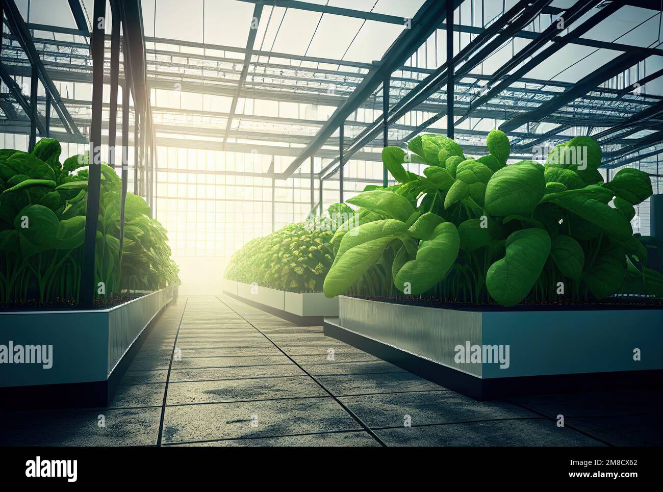 growing vegetables and horticultural crops through hydroponics in a ...