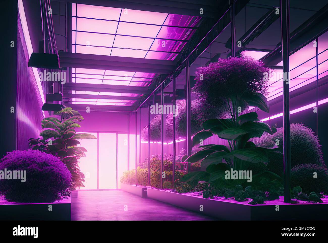 growing vegetables and horticultural crops through hydroponics in a ...