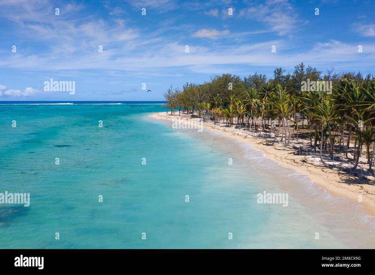 Turquoise clean lagoon protected by coral reefs on Le Morne palm trees ...