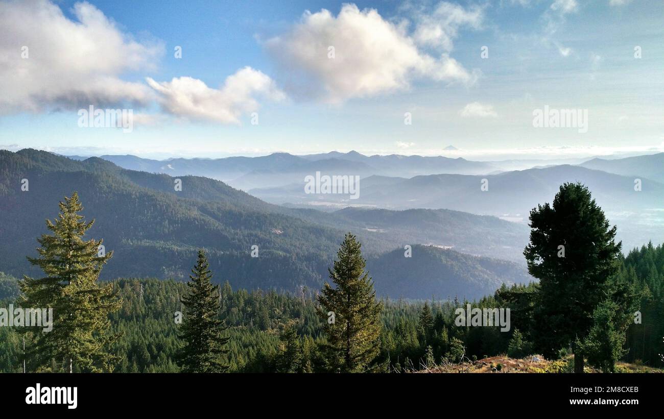 Above the Forest Stock Photo - Alamy