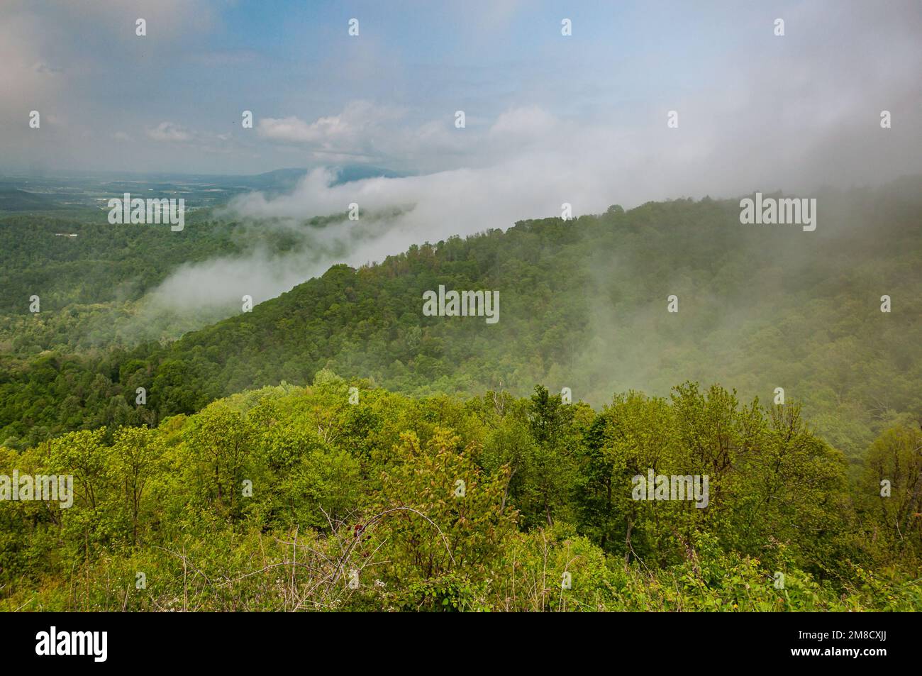 Rain and Fog in the Appalachian Mountains, Virginia USA, Virginia Stock ...