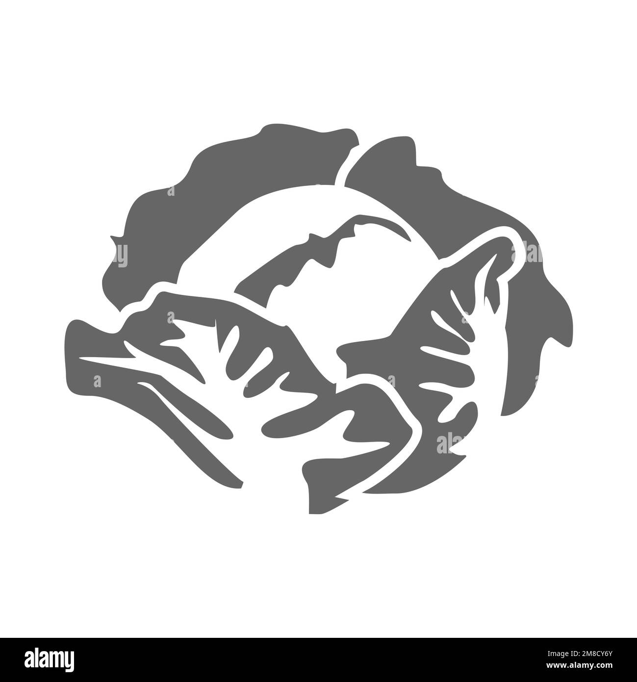 Cabbage icon, common graphic resources, vector illustration Stock ...