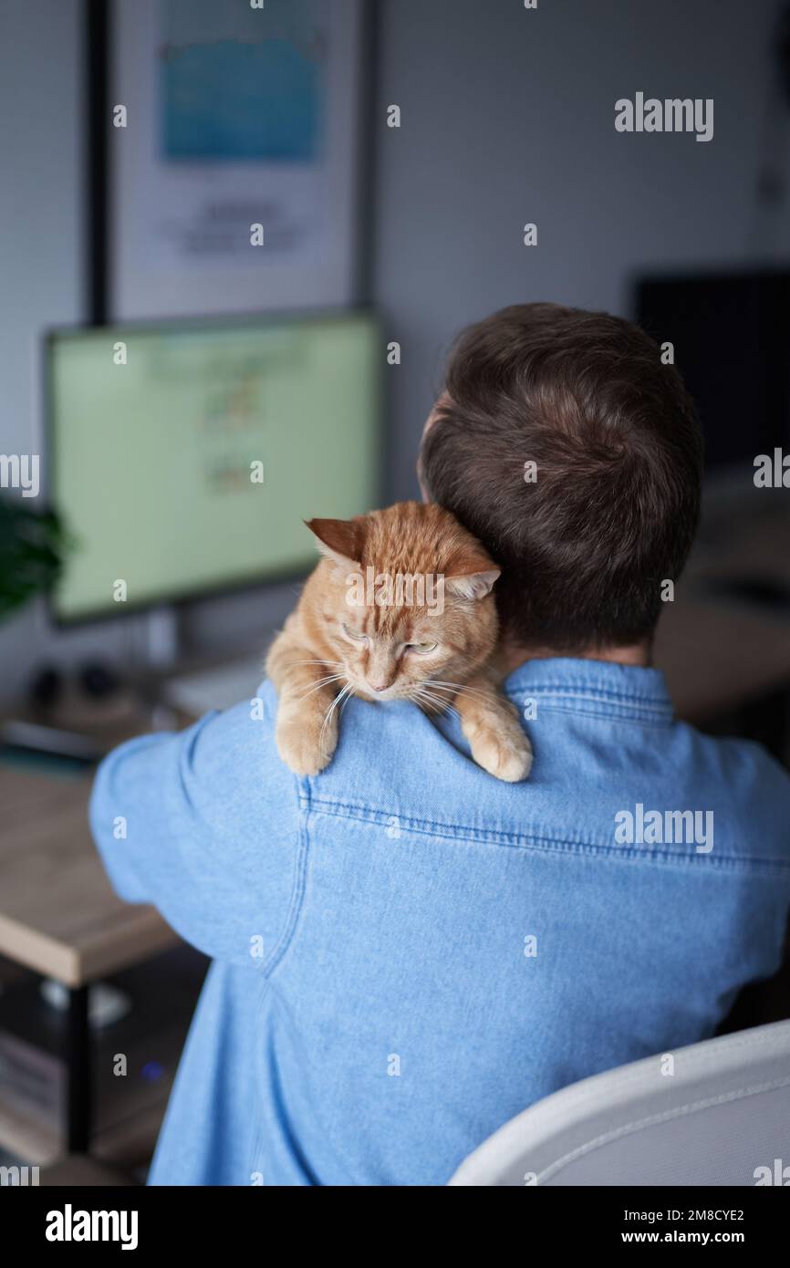 Male caucasian freelance software engineer sitting at working place in ...