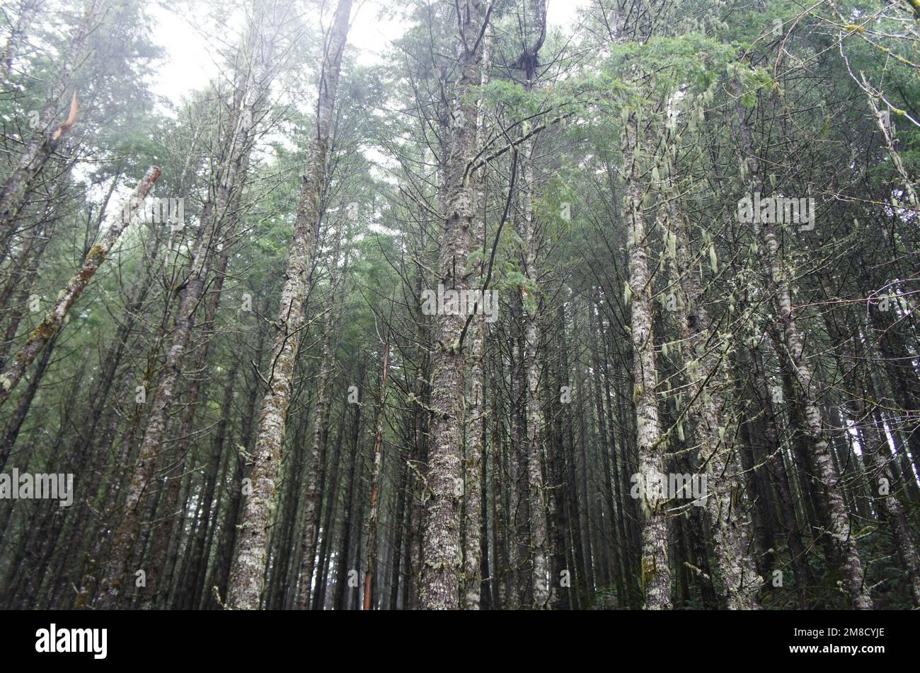 Navigating at morning hi-res stock photography and images - Alamy