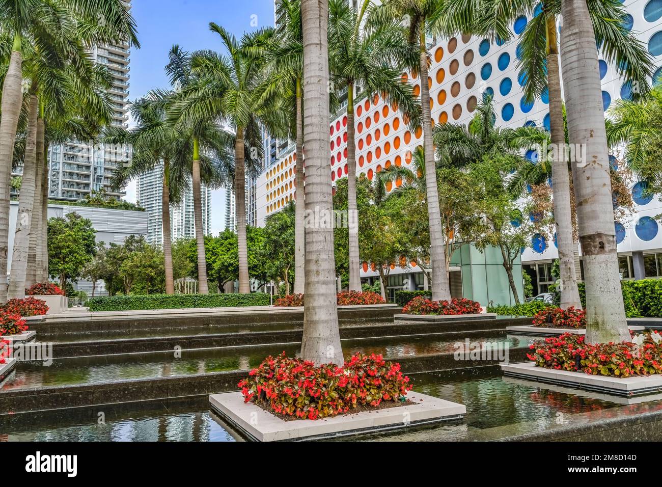 Palm Trees Flowers Water Garden Apartment Buildings, Downtown Miami ...