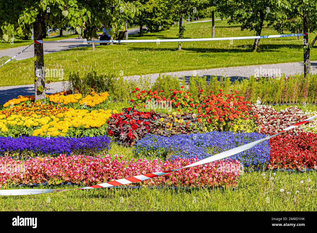 planting flowers in the park in spring. planting flowers. growing ...