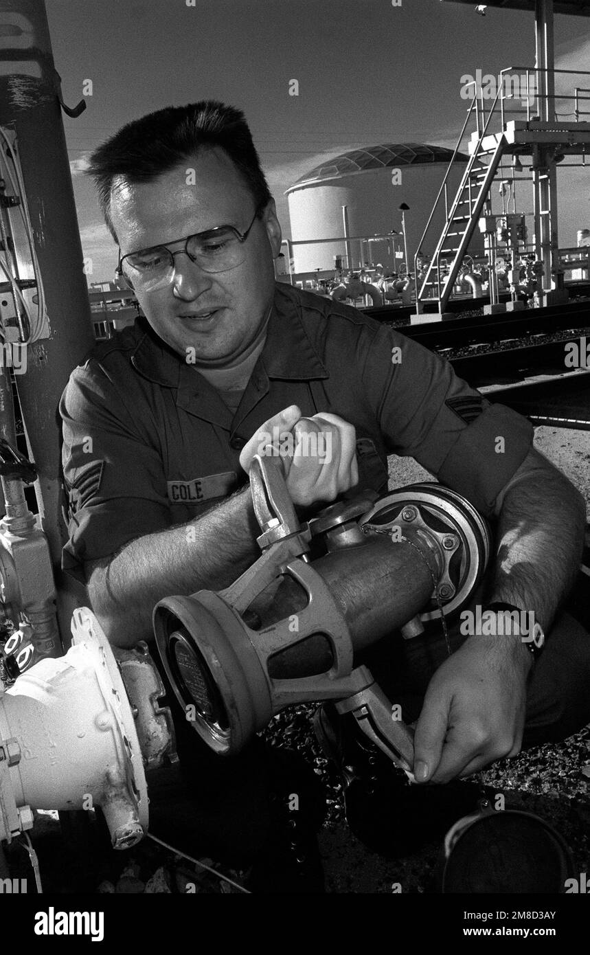 SGT Donald Cole, fuels specialist with the 836th Supply Squadron ...