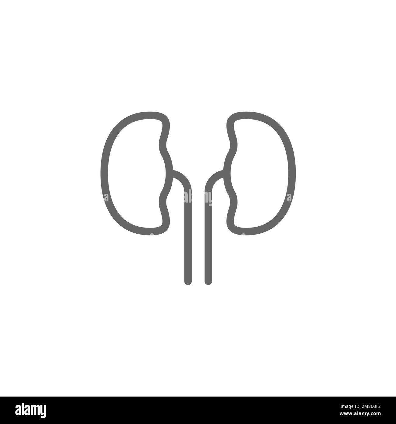 Kidney icons, common graphic resources, vector illustrations Stock ...