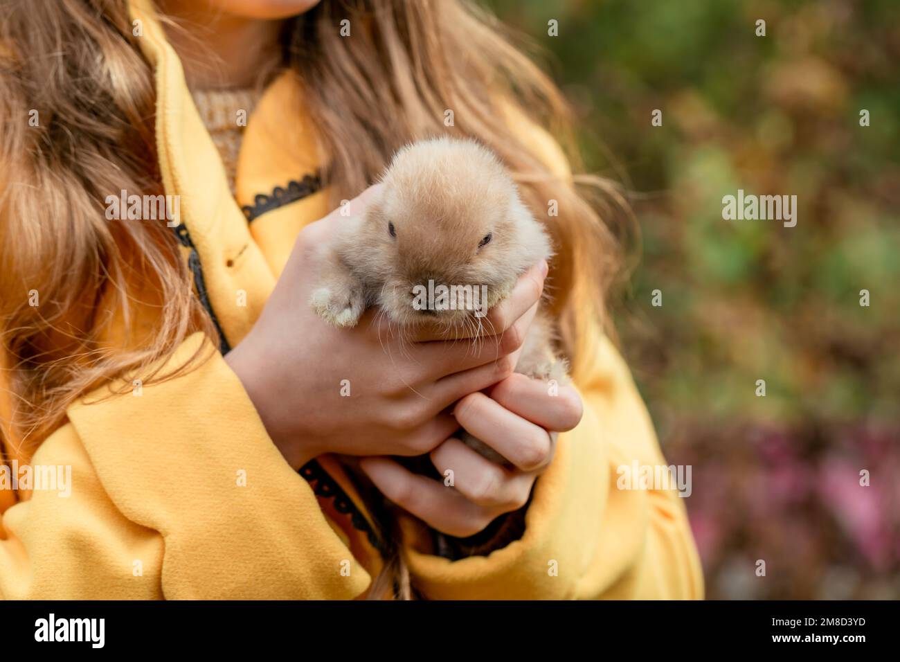 Fluffy little fox rabbit in children's hands on an autumn background ...