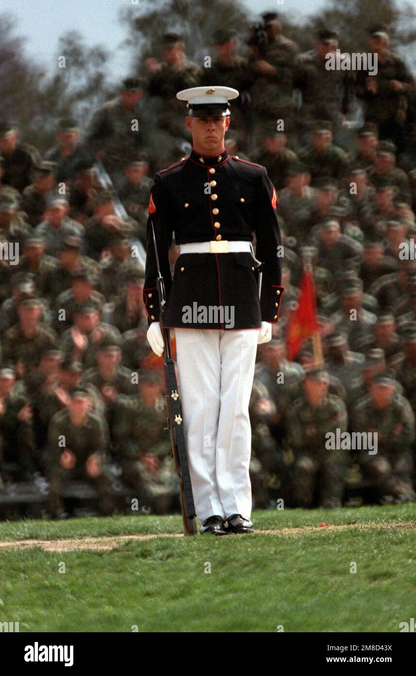 Precision drill display hi-res stock photography and images - Alamy