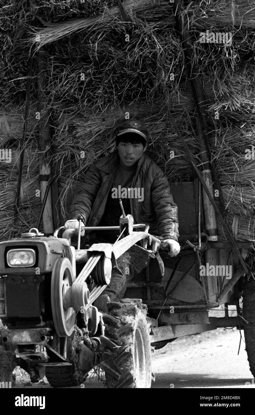 A Korean farmer pulls a load of straw with his tractor down a road ...