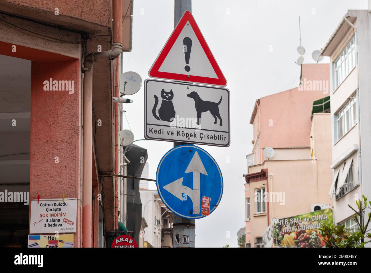 Traffic warning sign of cats and dogs wandering in the street ...