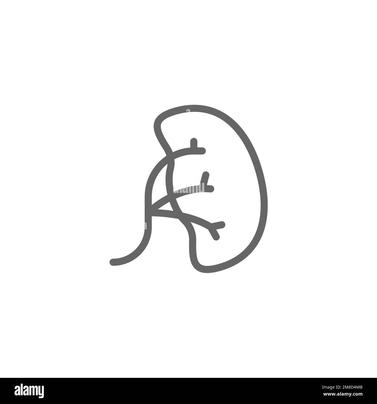 Kidney icons, common graphic resources, vector illustrations Stock ...