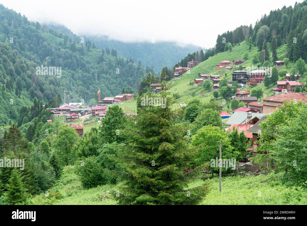 Ayder village. landscape view of Ayder Plateau in Rize, Turkey. Meadow ...