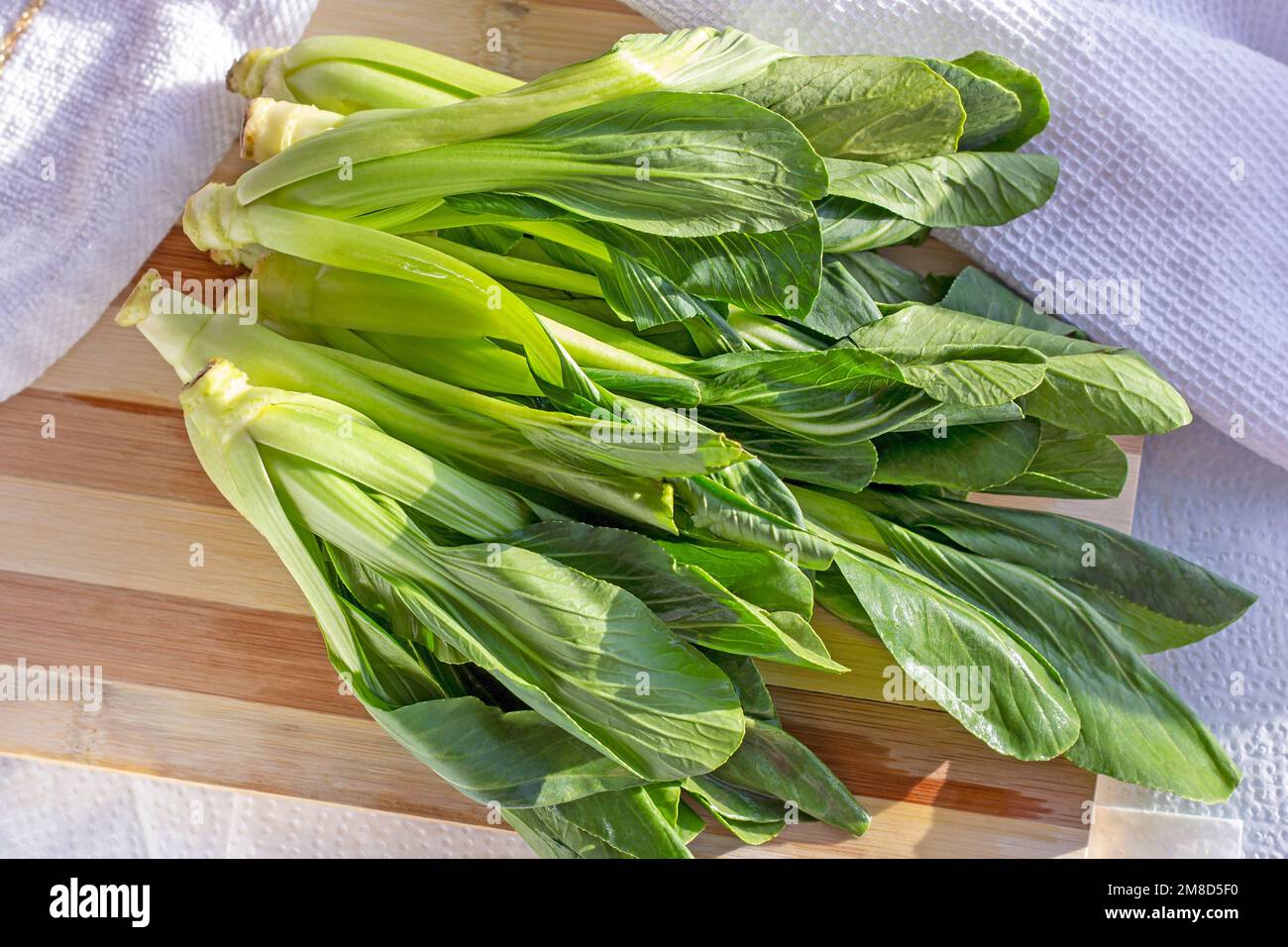 Bok choy plant hi-res stock photography and images - Alamy