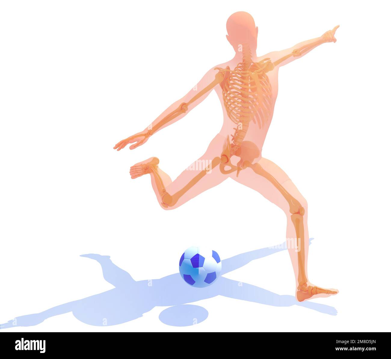 Anatomical 3D illustration of a soccer player with a ball. Transparent ...