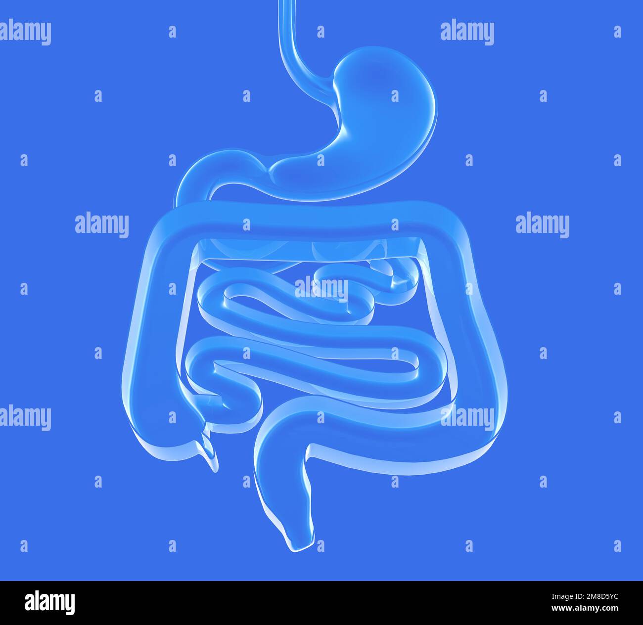 3d illustration of transparent glass of the digestive system. Large and ...