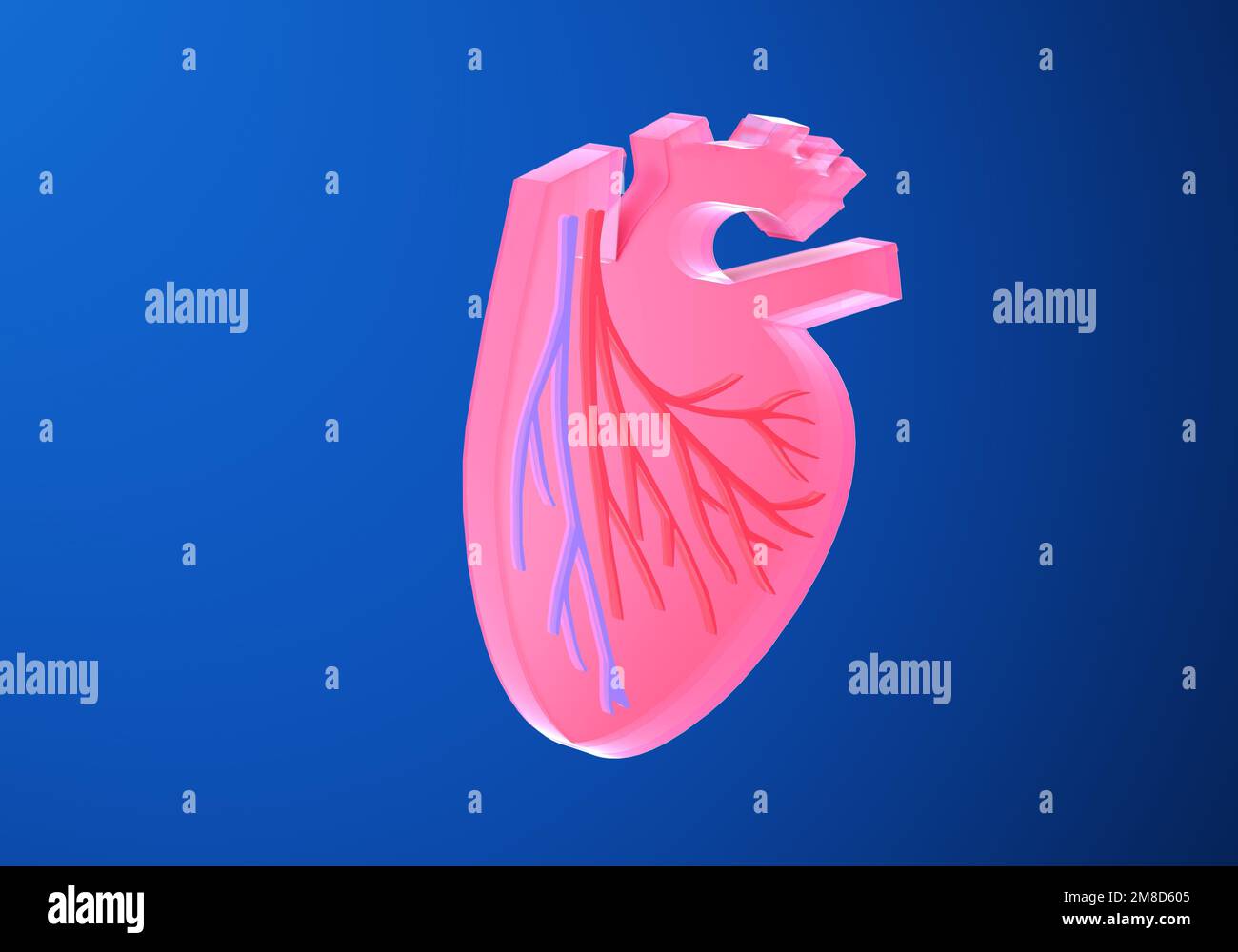 3d illustration of the heart with veins and coronary arteries. Flat ...
