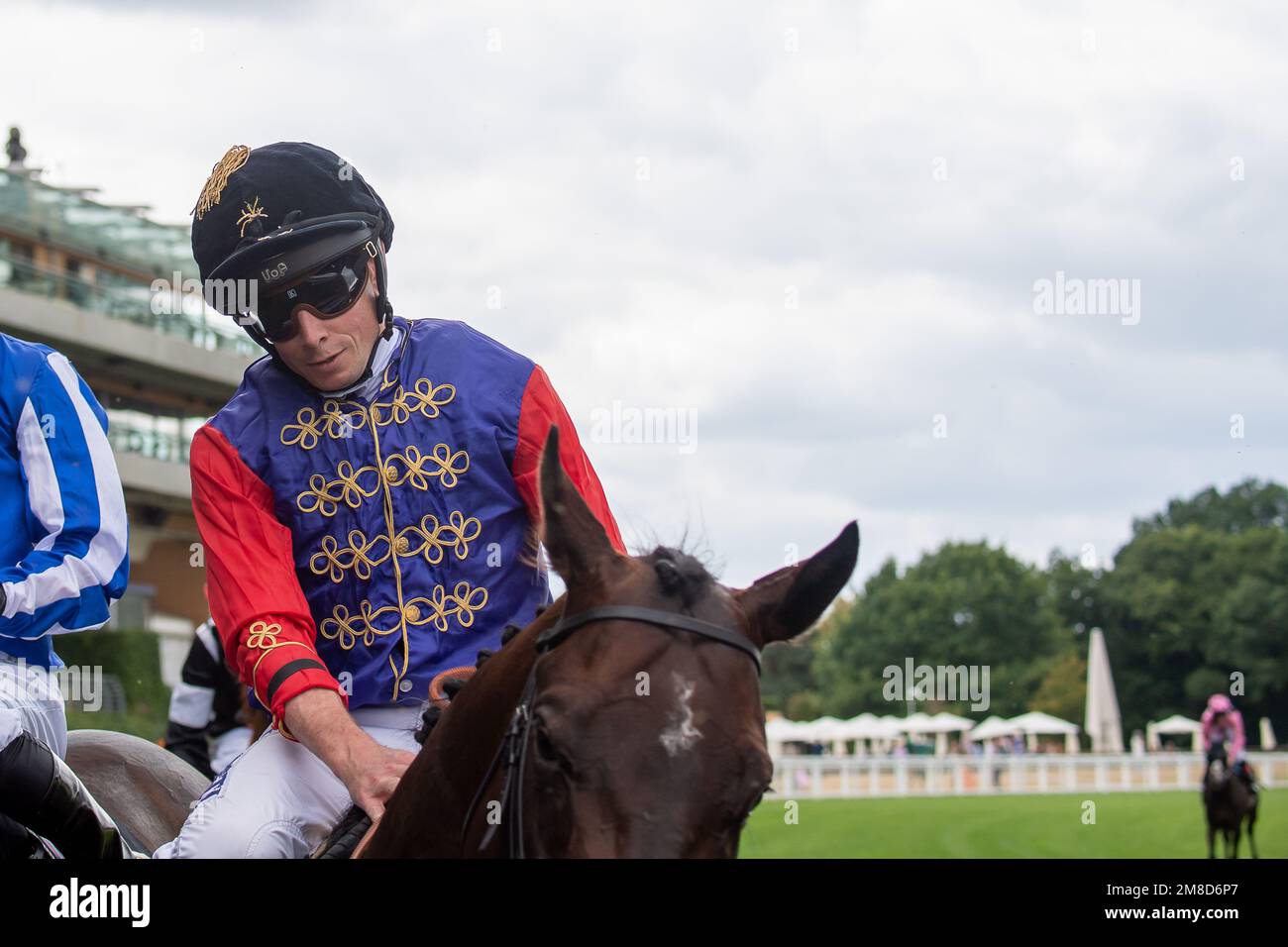 Ascot, Berkshire, UK. 23rd July, 2022. Horse Tactical owned by Her ...