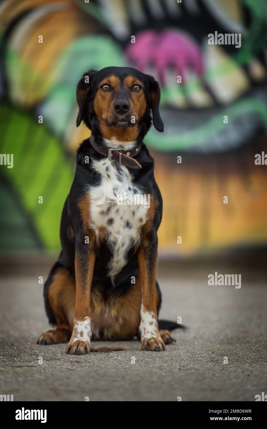 Adult cross hi-res stock photography and images - Alamy