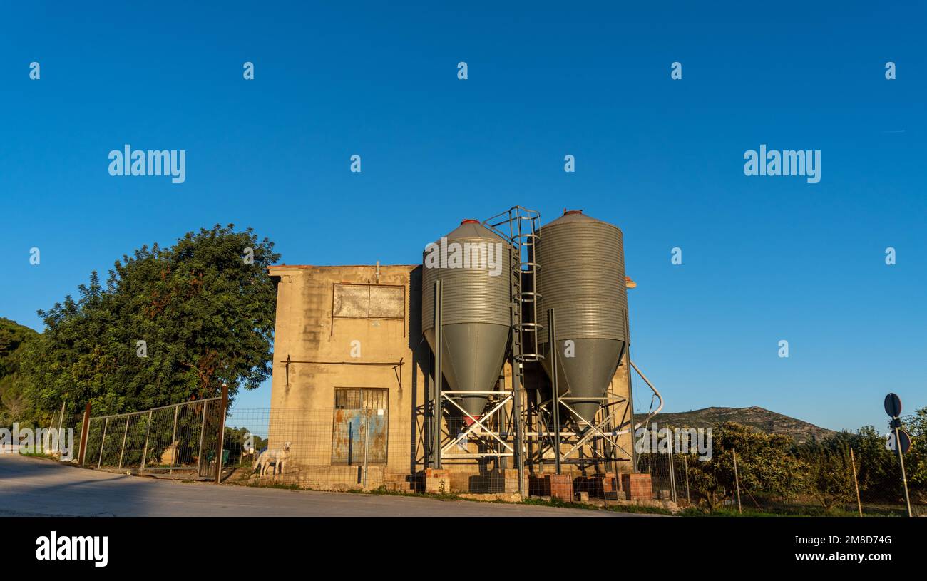 The huge grain tanks at a farm on blue sky background Stock Photo - Alamy