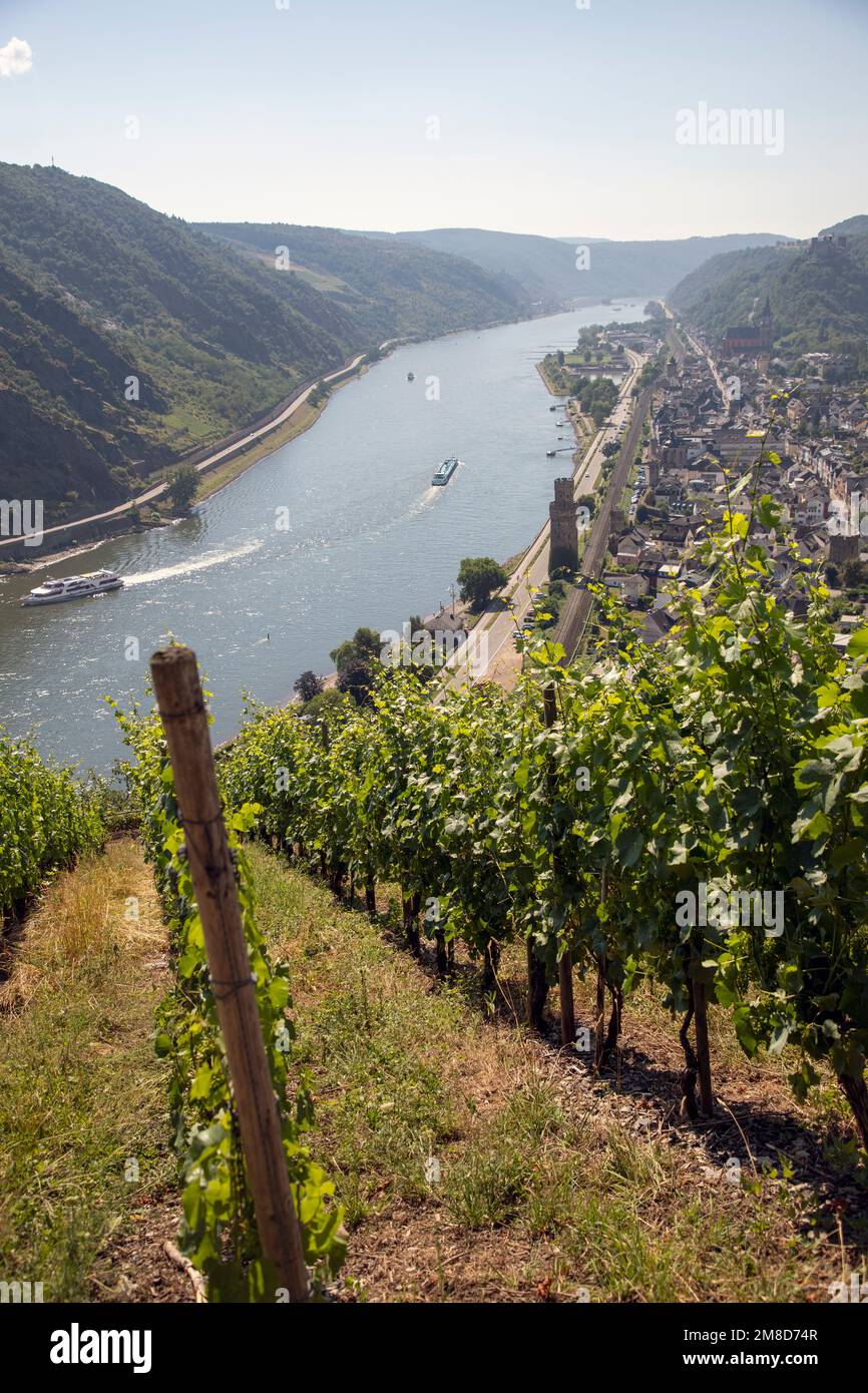 Rhein land pfalz hi-res stock photography and images - Alamy
