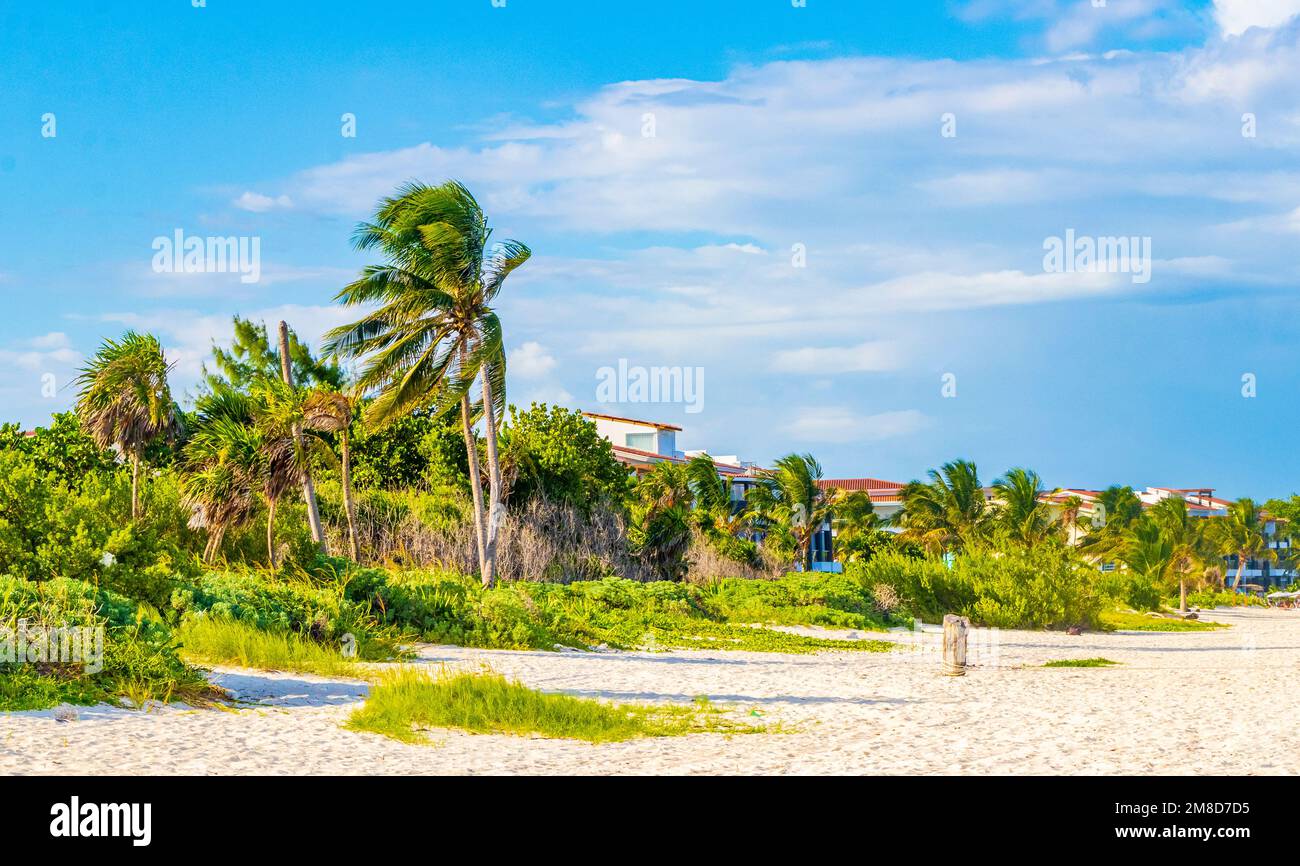 Tropical mexican beach landscape panorama with clear turquoise blue ...