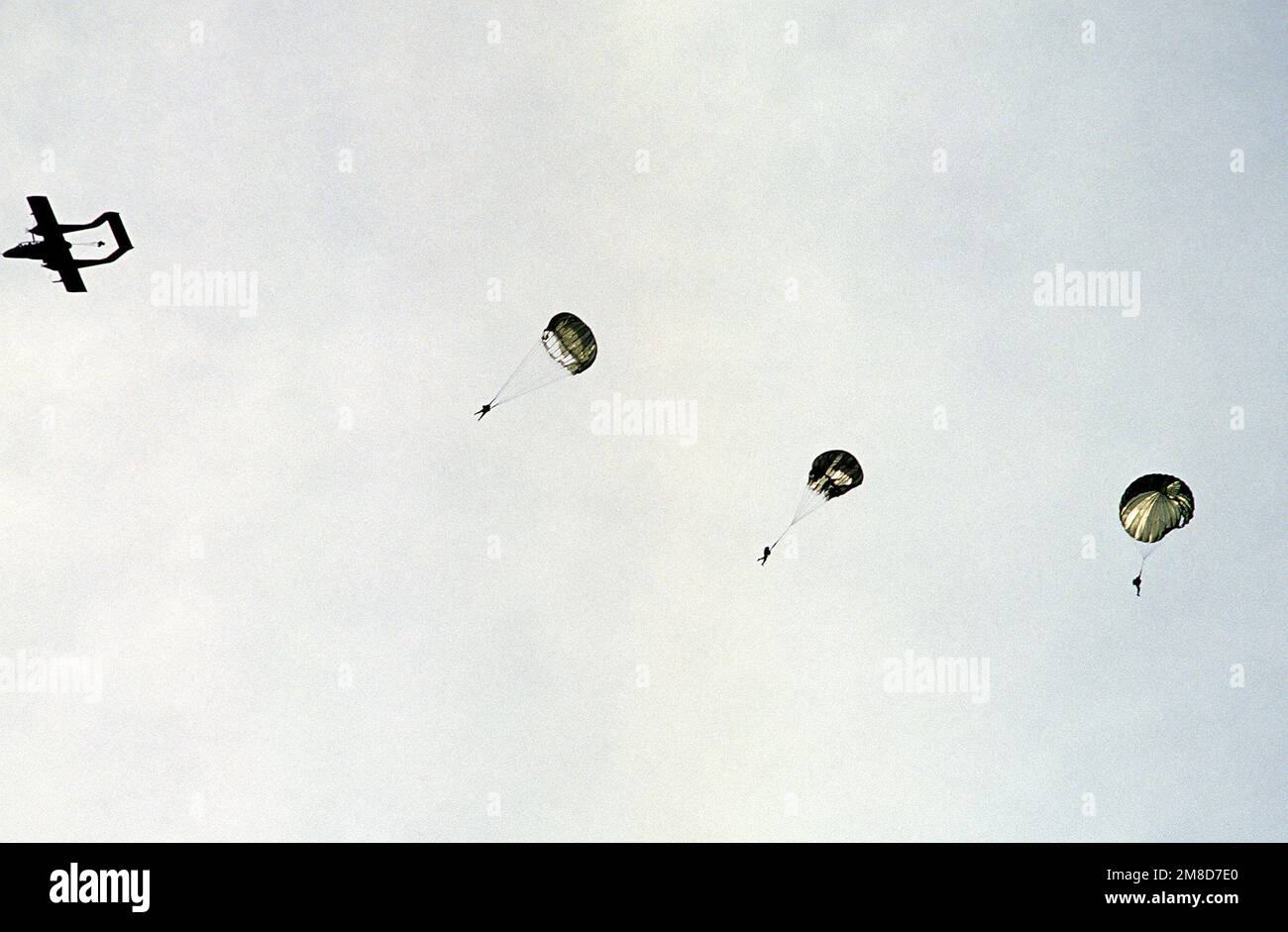 Members of an Air Force tactical air control party (TACP) parachute ...