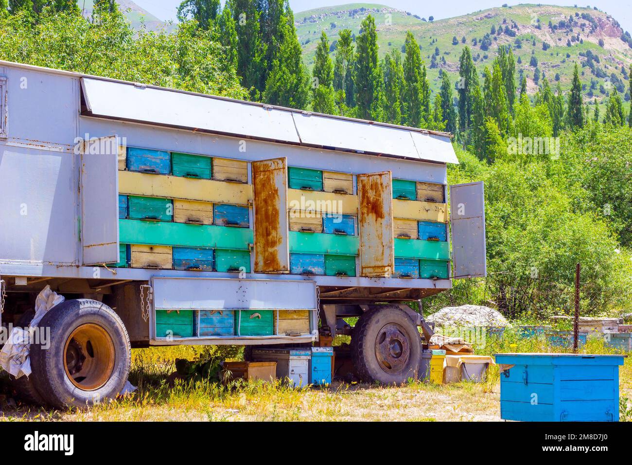 Many bee hives in the car truck (beekeeping wagon) on the country farm ...