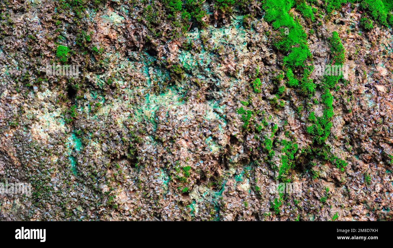 Wet rock covered with green moss. Beautiful Texture. Wallpaper Stock ...