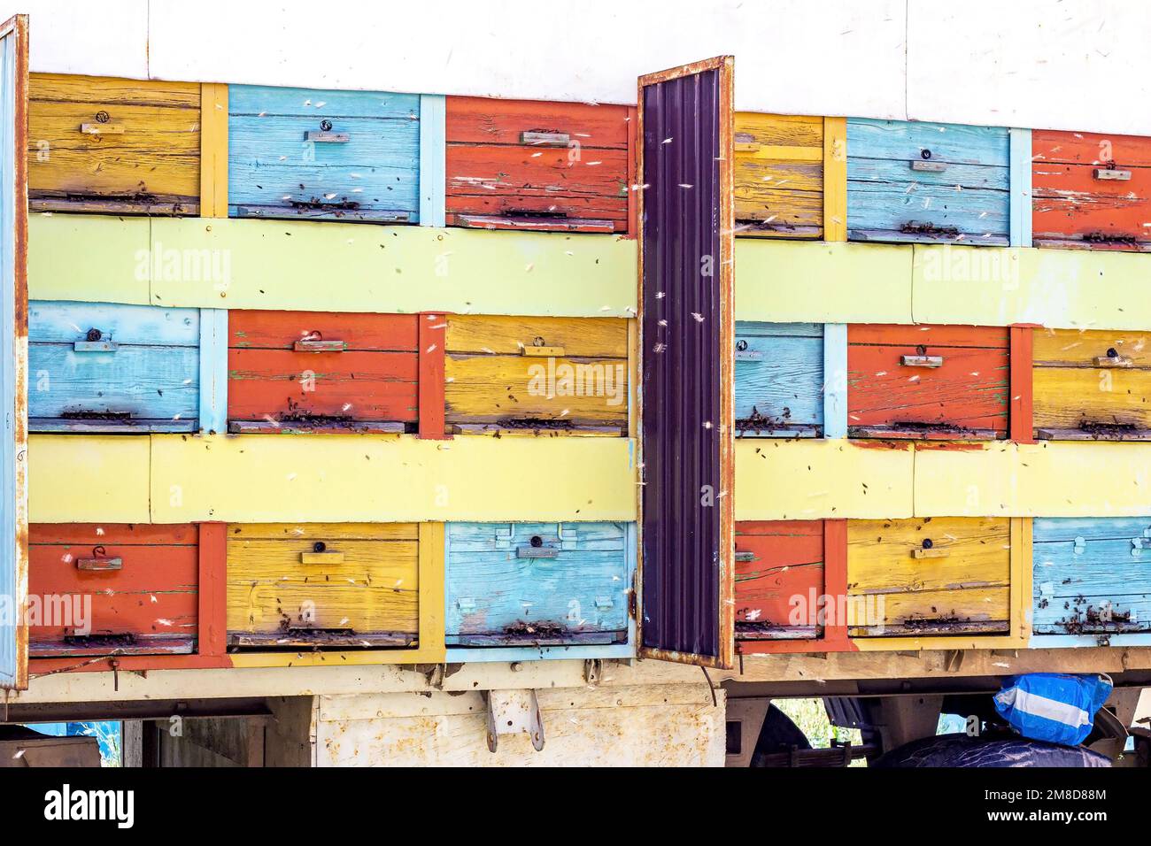 Many bee hives in the car truck (beekeeping wagon) on the country farm ...