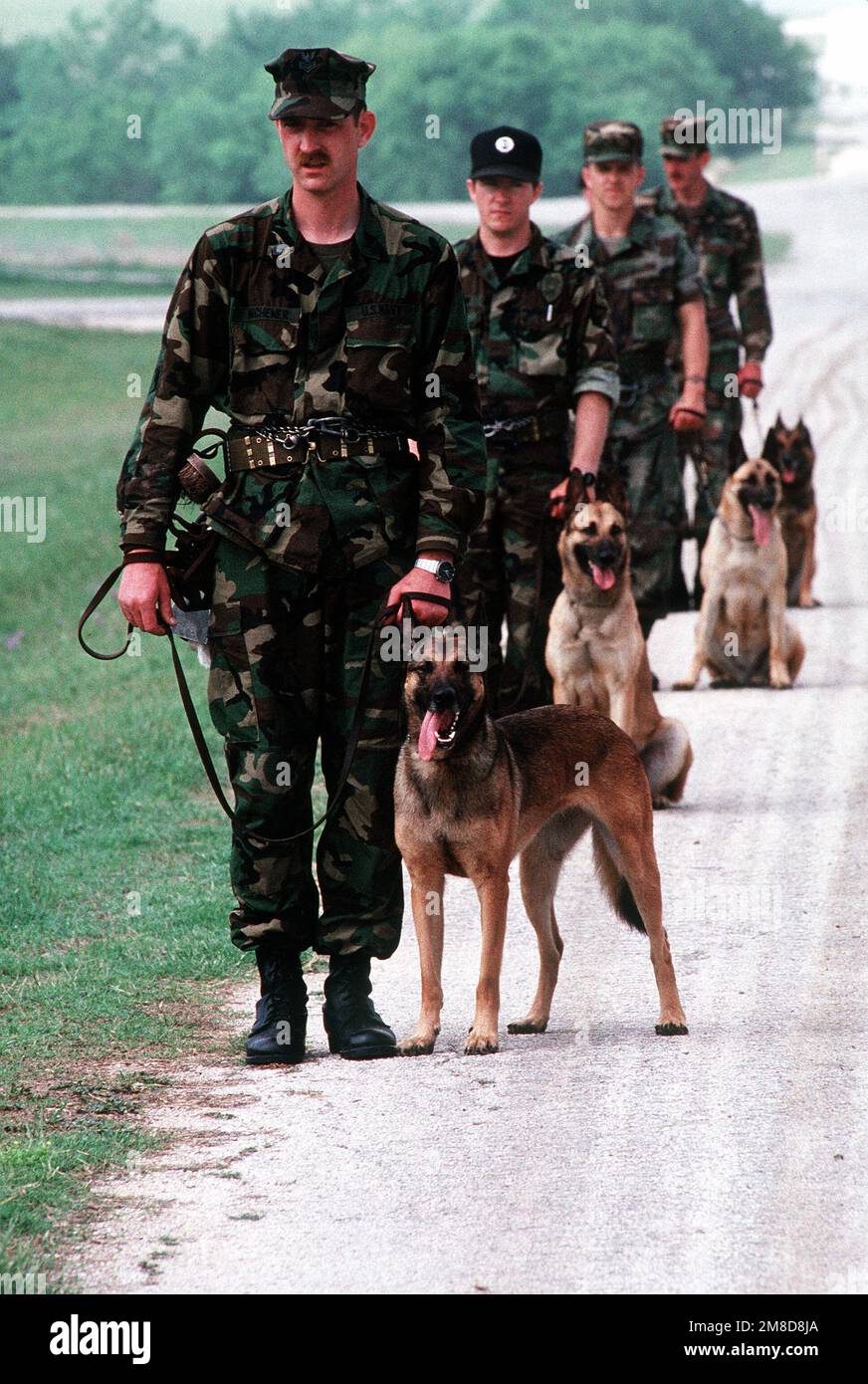 Military working dog handling hi-res stock photography and images - Alamy