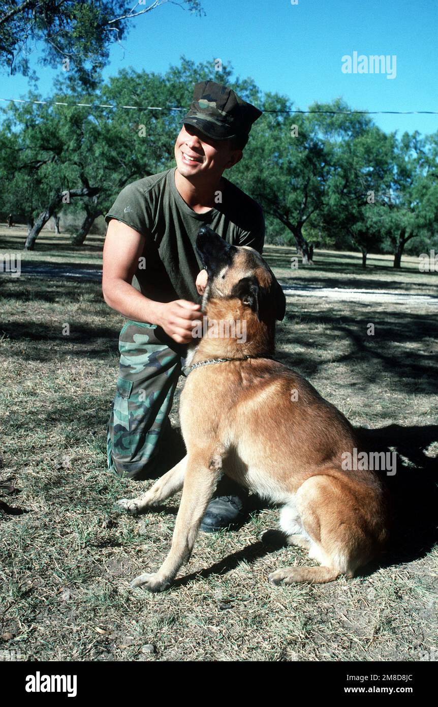 Marine Sergeant Michael Castilleja trains a dog at the Military Working ...