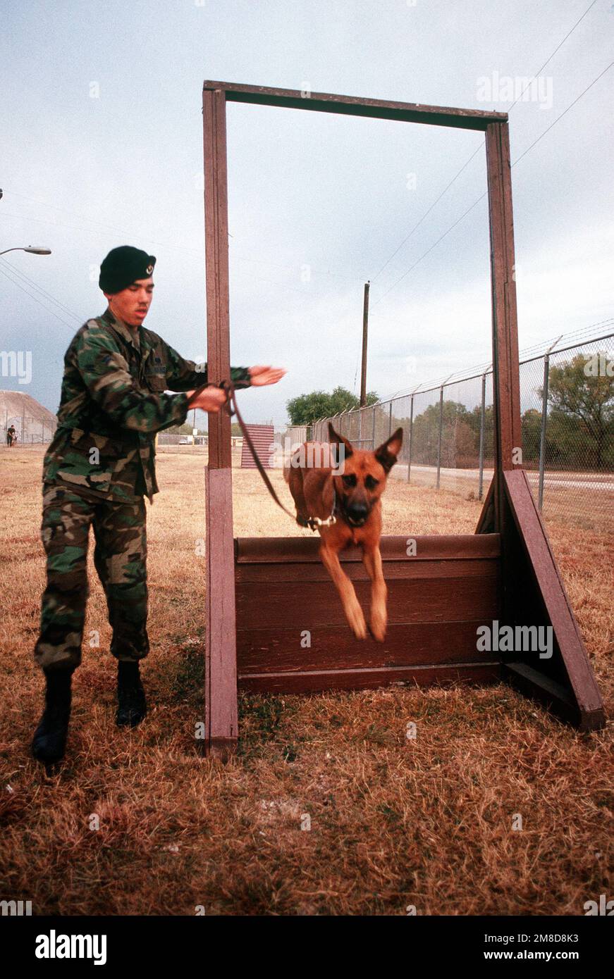 K9 training school hi-res stock photography and images - Alamy