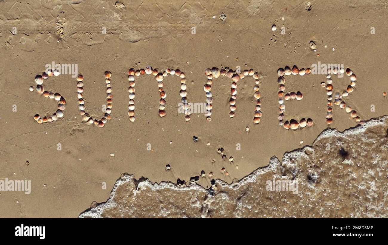 Come out of your shell poster hi-res stock photography and images - Alamy