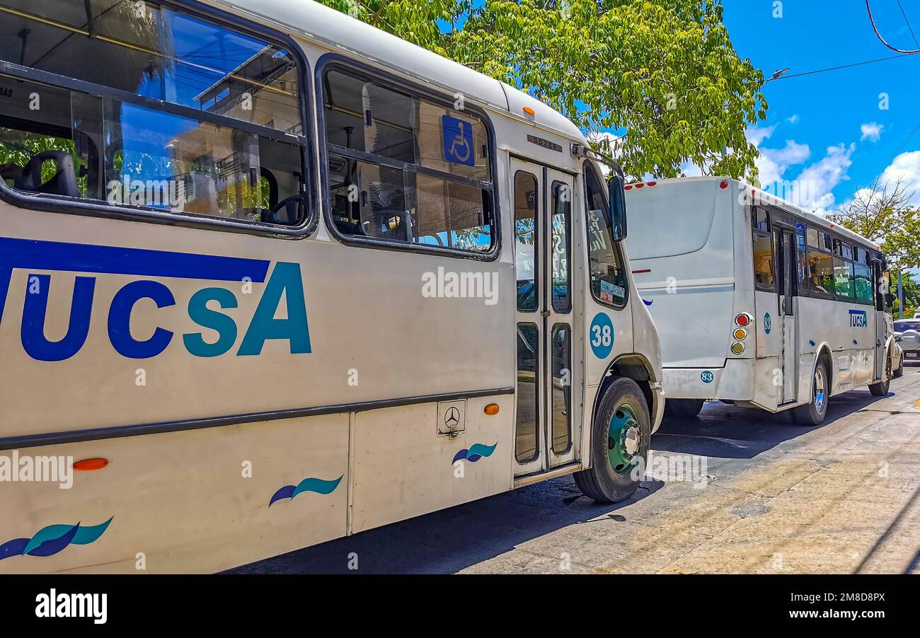 Various colorful buses bus in Playa del Carmen Quintana Roo Mexico ...