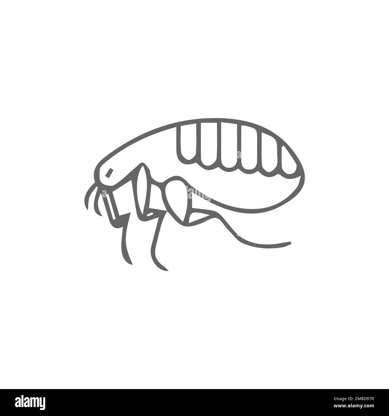 Cicada pupa icon, common graphic resources, vector illustrations Stock ...