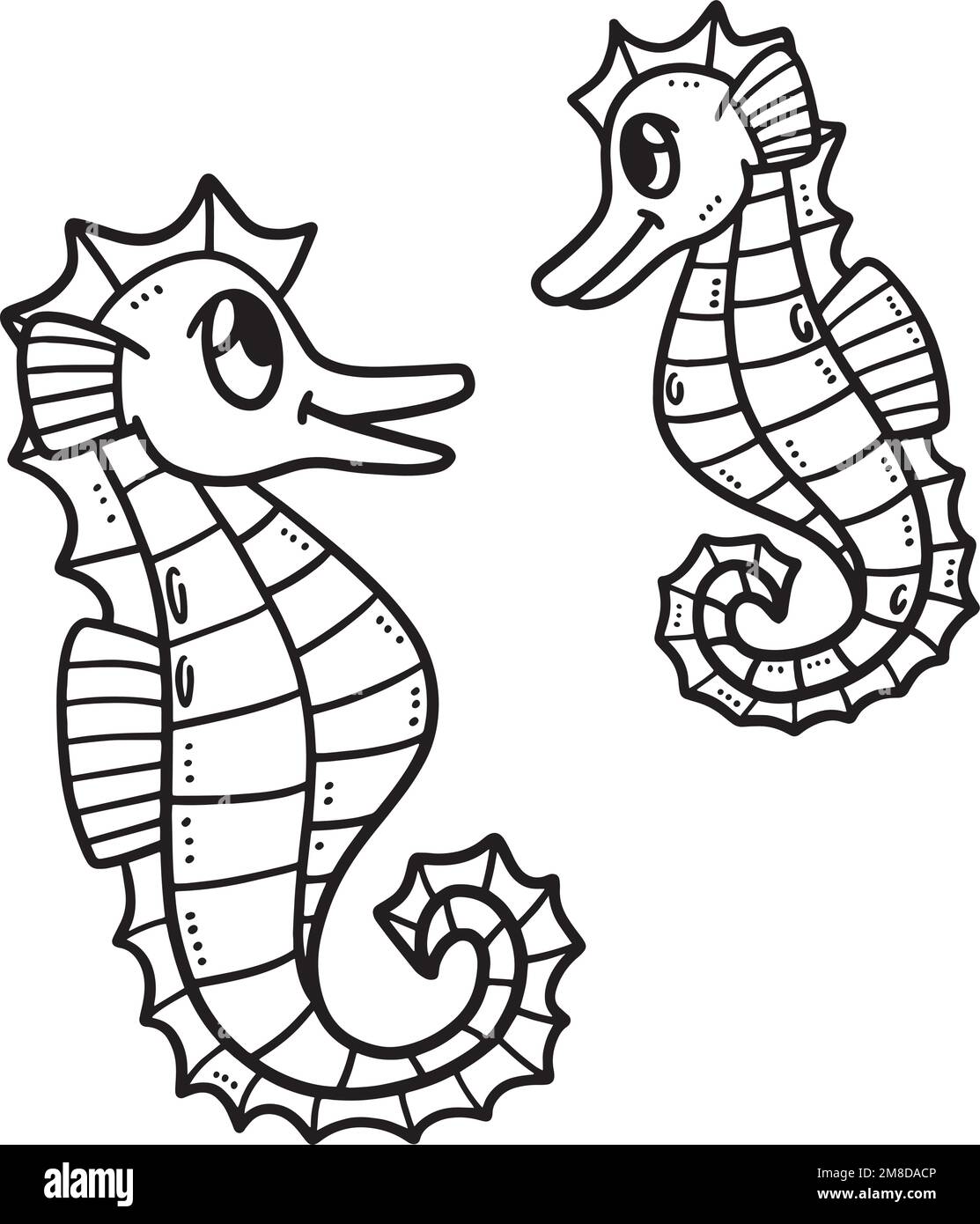 Images Of Baby Seahorses