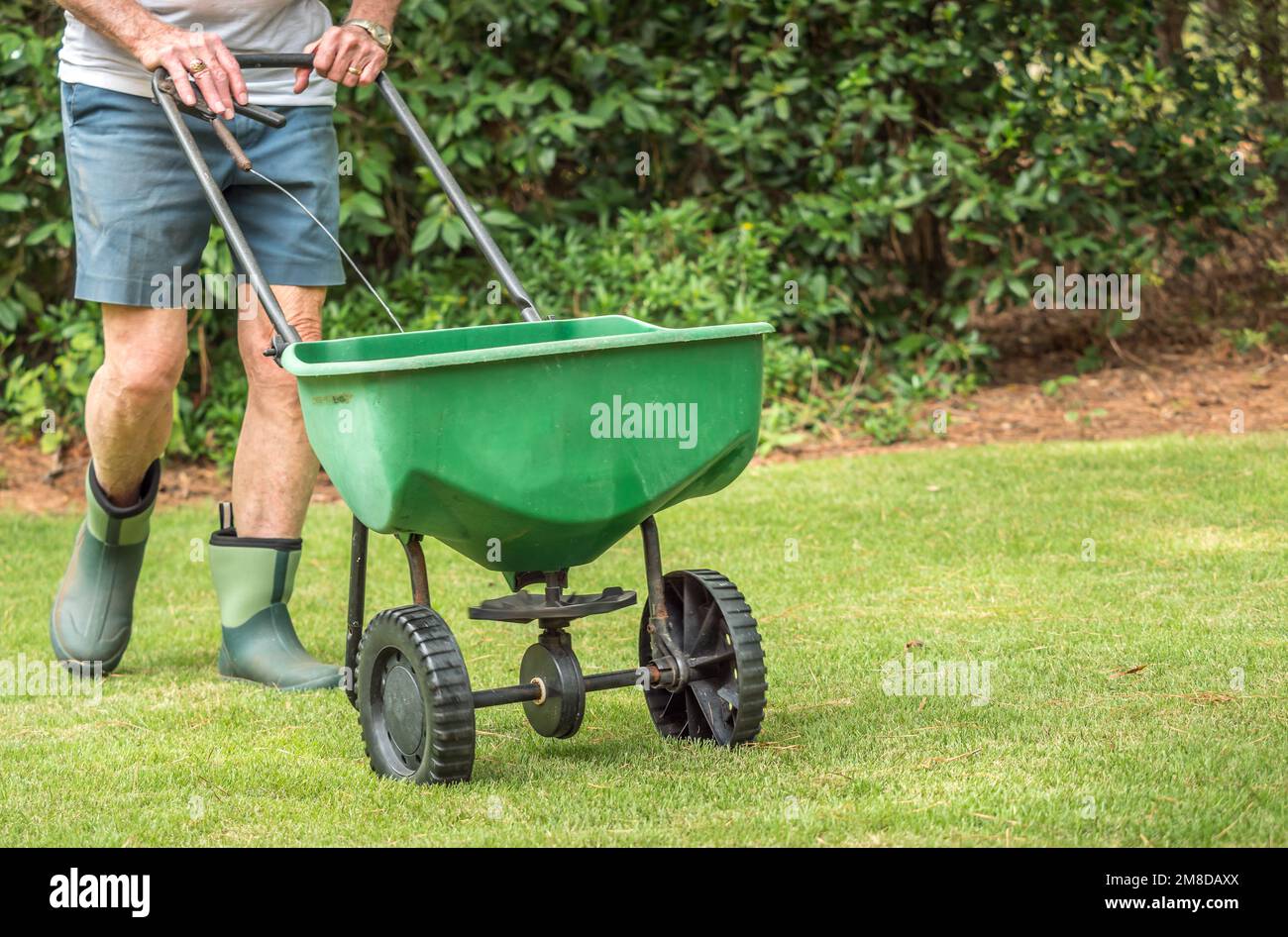Man seeding and fertilizing residential backyard lawn with manual grass ...
