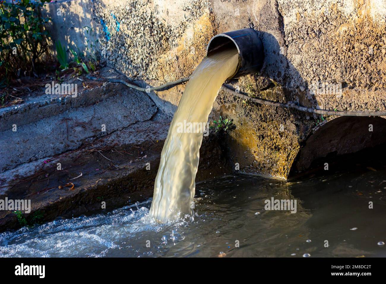 Wastewater sewage pipe dumps the dirty contaminated water into the ...