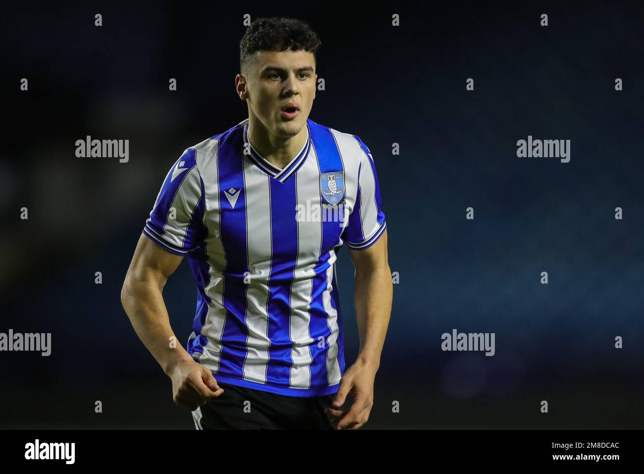 Bailey-Tye Cadamarteri #9 of Sheffield Wednesday during the FA Youth ...