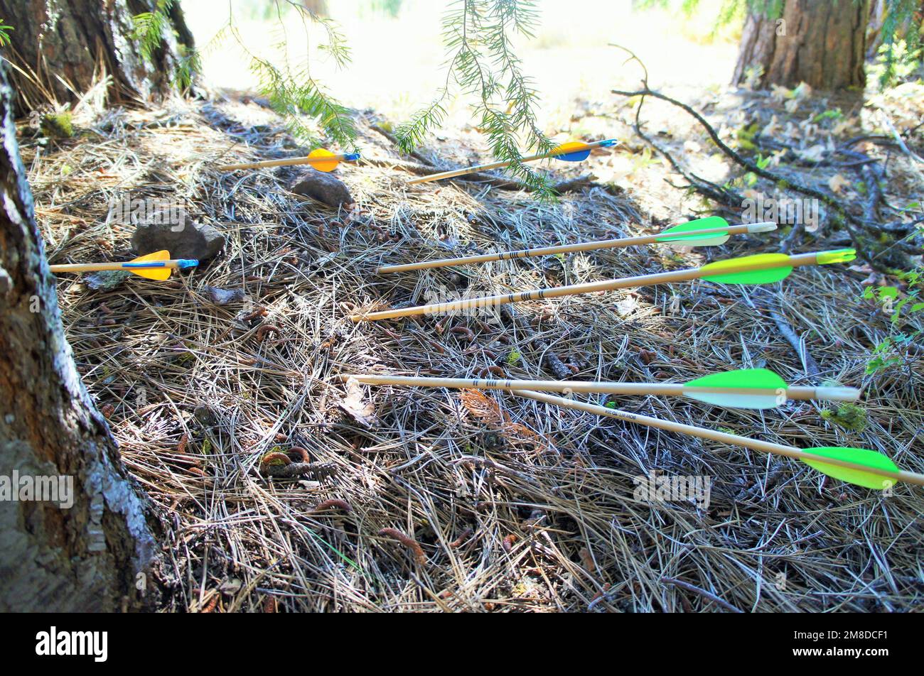 Arrows target practice hi-res stock photography and images - Alamy